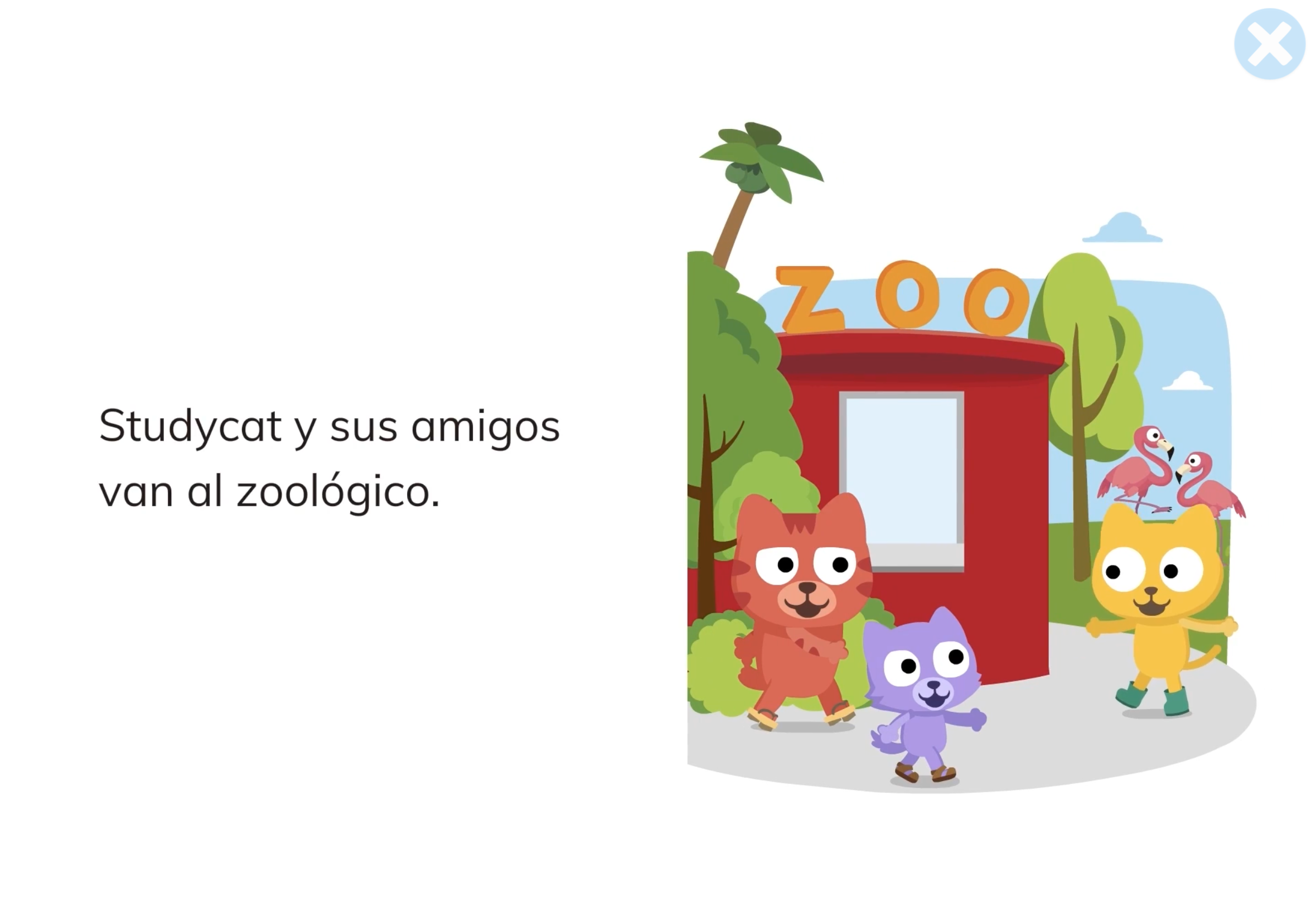 Studycat Library – Help Centre | Studycat